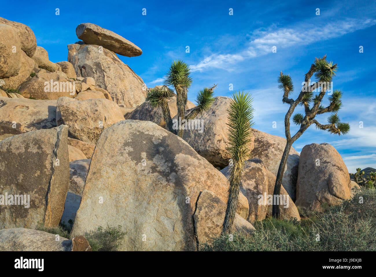 Jumbo rocks in Joshua Tree National Park, California, USA Stock Photo ...