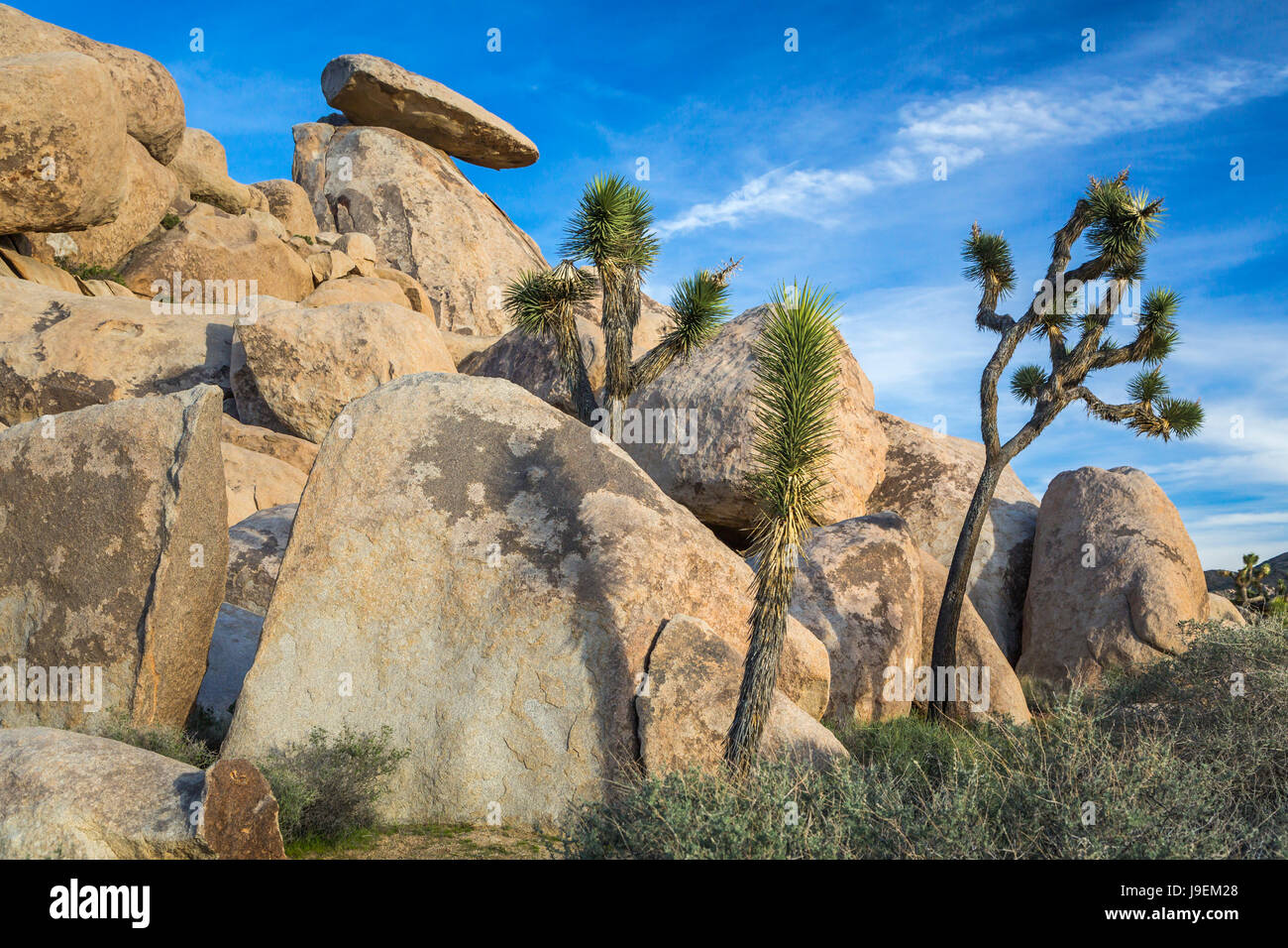 Cap rock joshua tree hi-res stock photography and images - Alamy