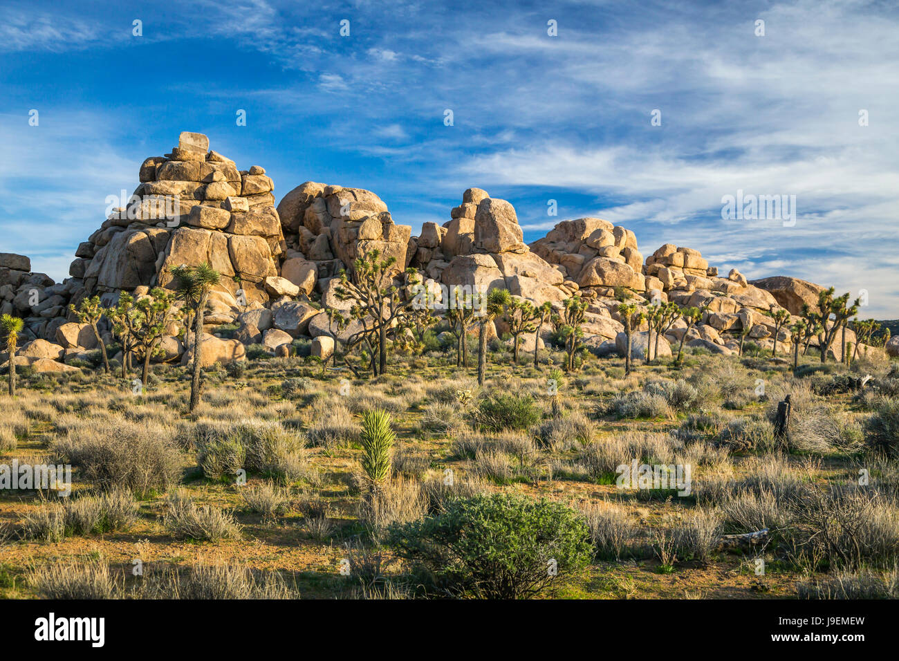 Jumbo rocks in Joshua Tree National Park, California, USA Stock Photo ...
