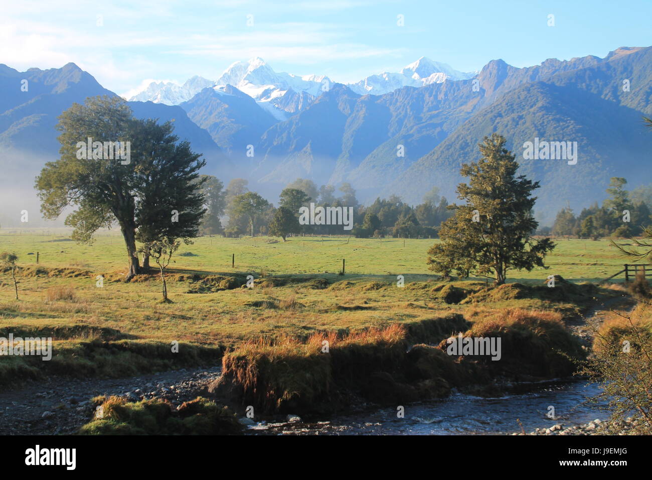 new zealand, morning sun, meadow, mountain, scenery, countryside ...