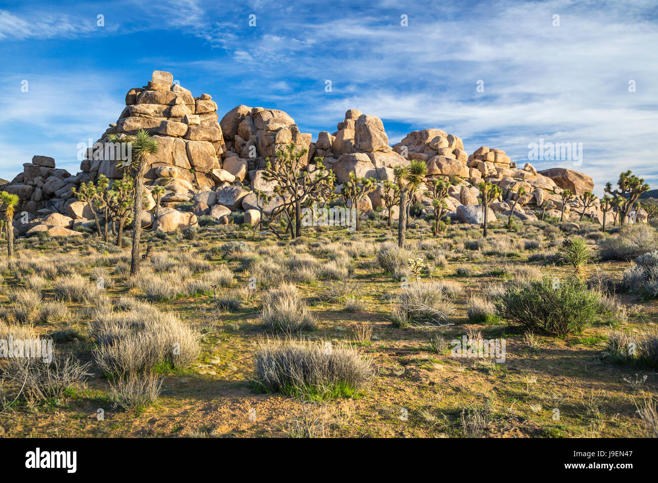 Jumbo rocks in Joshua Tree National Park, California, USA Stock Photo ...