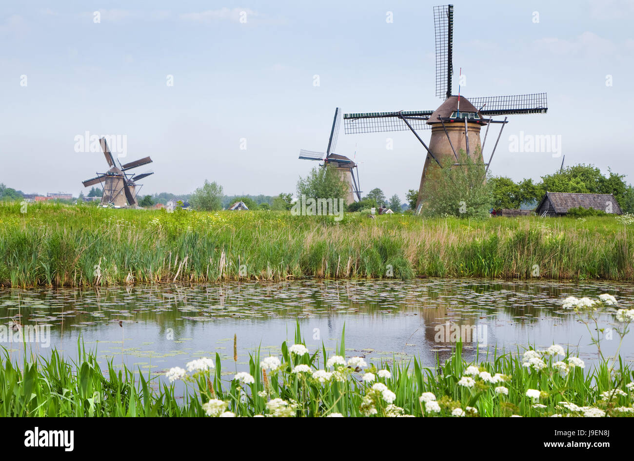 holland, netherlands, windmill, mill, mills, blue, colour, agriculture ...