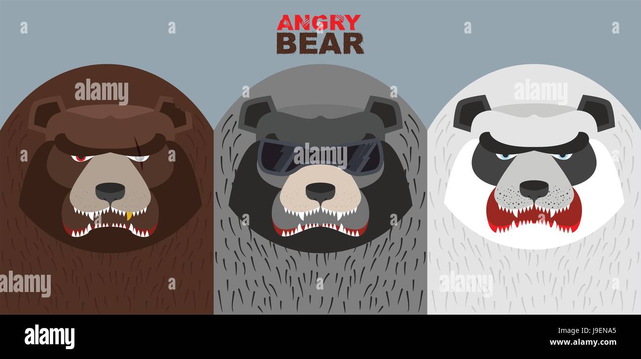Set bad bears. Wild angry animals. Villains. Vector illustration Stock ...
