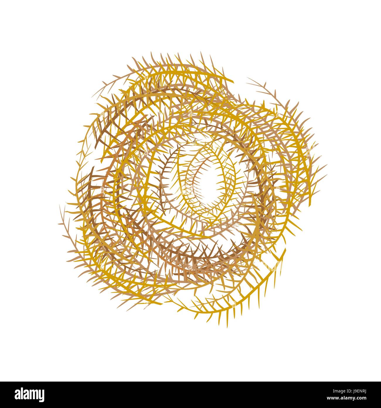 Plant shrub bush desert Cut Out Stock Images & Pictures - Alamy