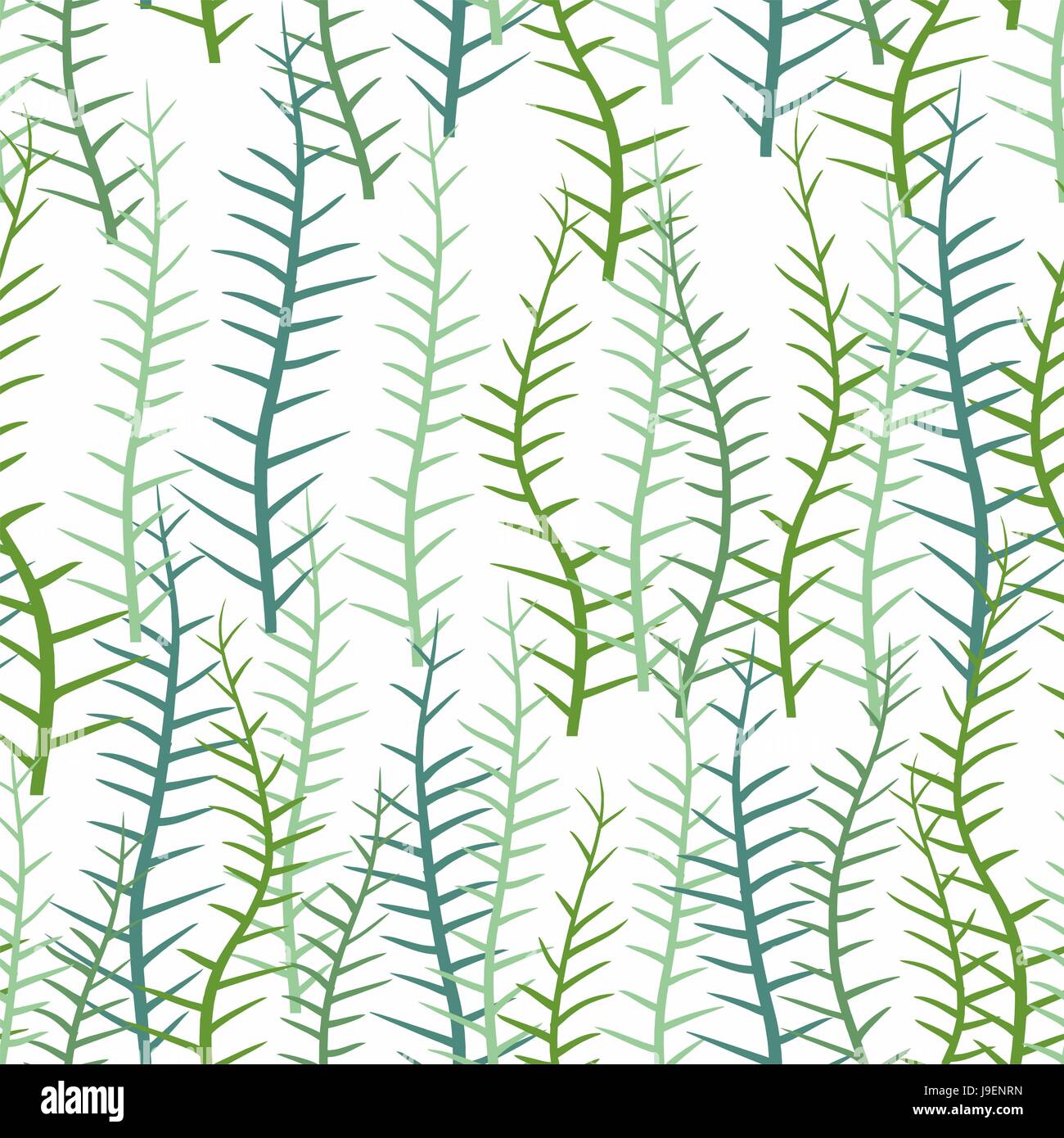 Seaweed on a white background. Seamless pattern of marine plants ...