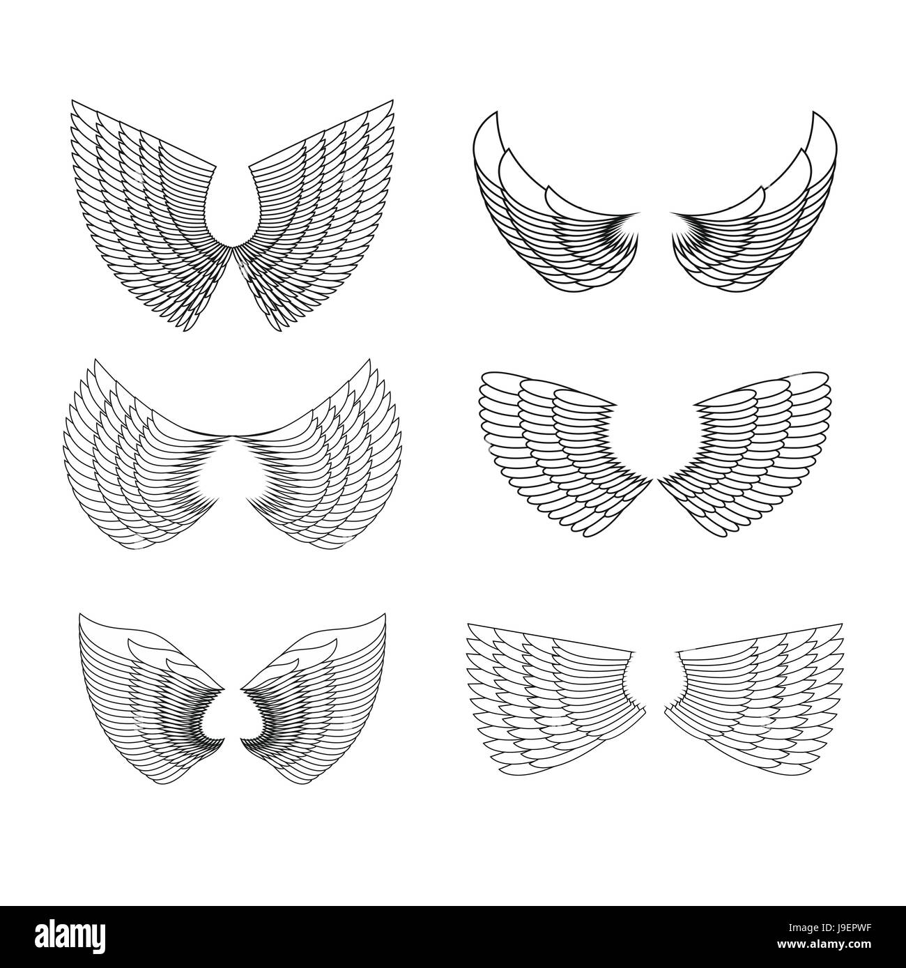 Wings Set. Vector illustration Stock Vector Image & Art - Alamy