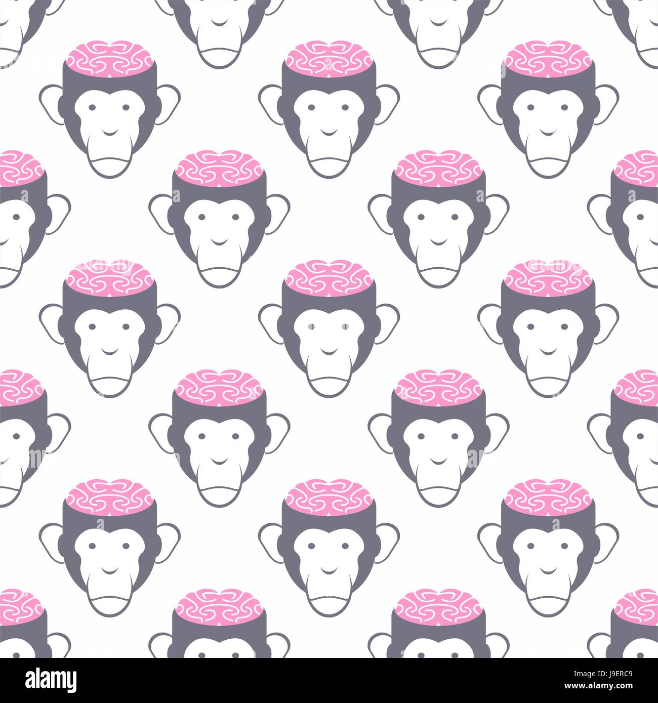 Monkey Brains seamless background. Vector pattern of animals Stock Vector Image & Art - Alamy