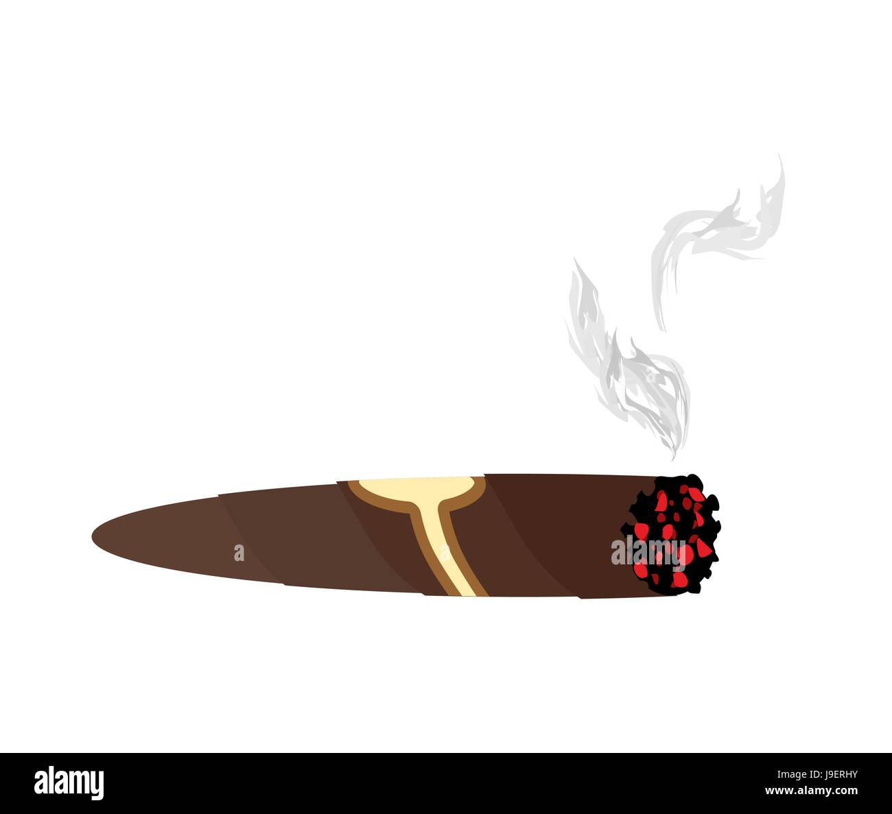 Cigar and smoke on a white background. An expensive Cuban cigar vector ...