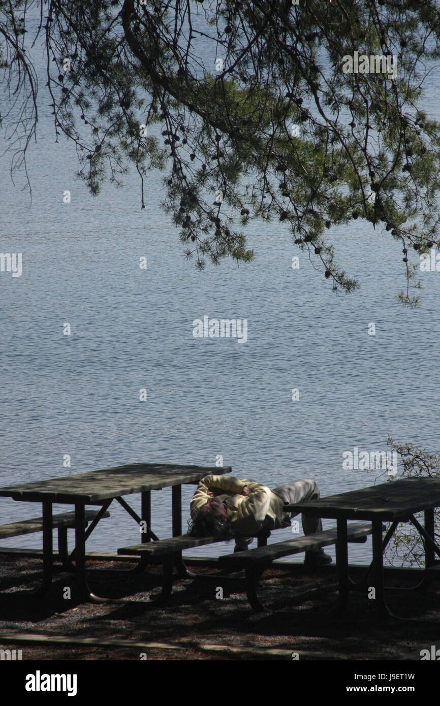 Man resting on bench by the lake Stock Photo - Alamy