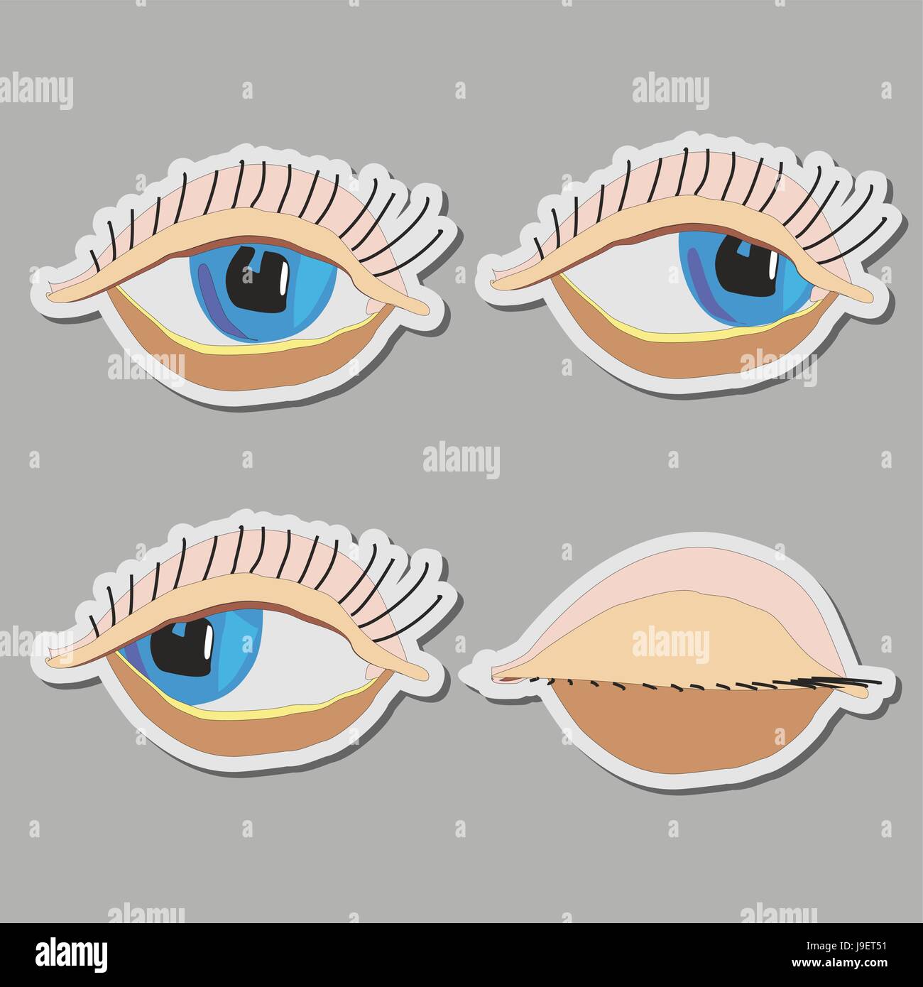vector cartoon eyes, closed eyes, Seth Stock Vector Image & Art - Alamy