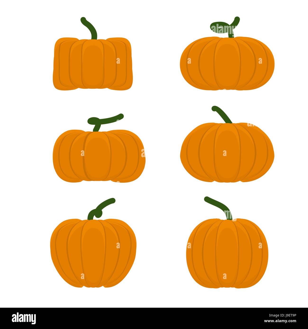Set different pumpkins. Vegetables for Halloween Stock Vector Image ...