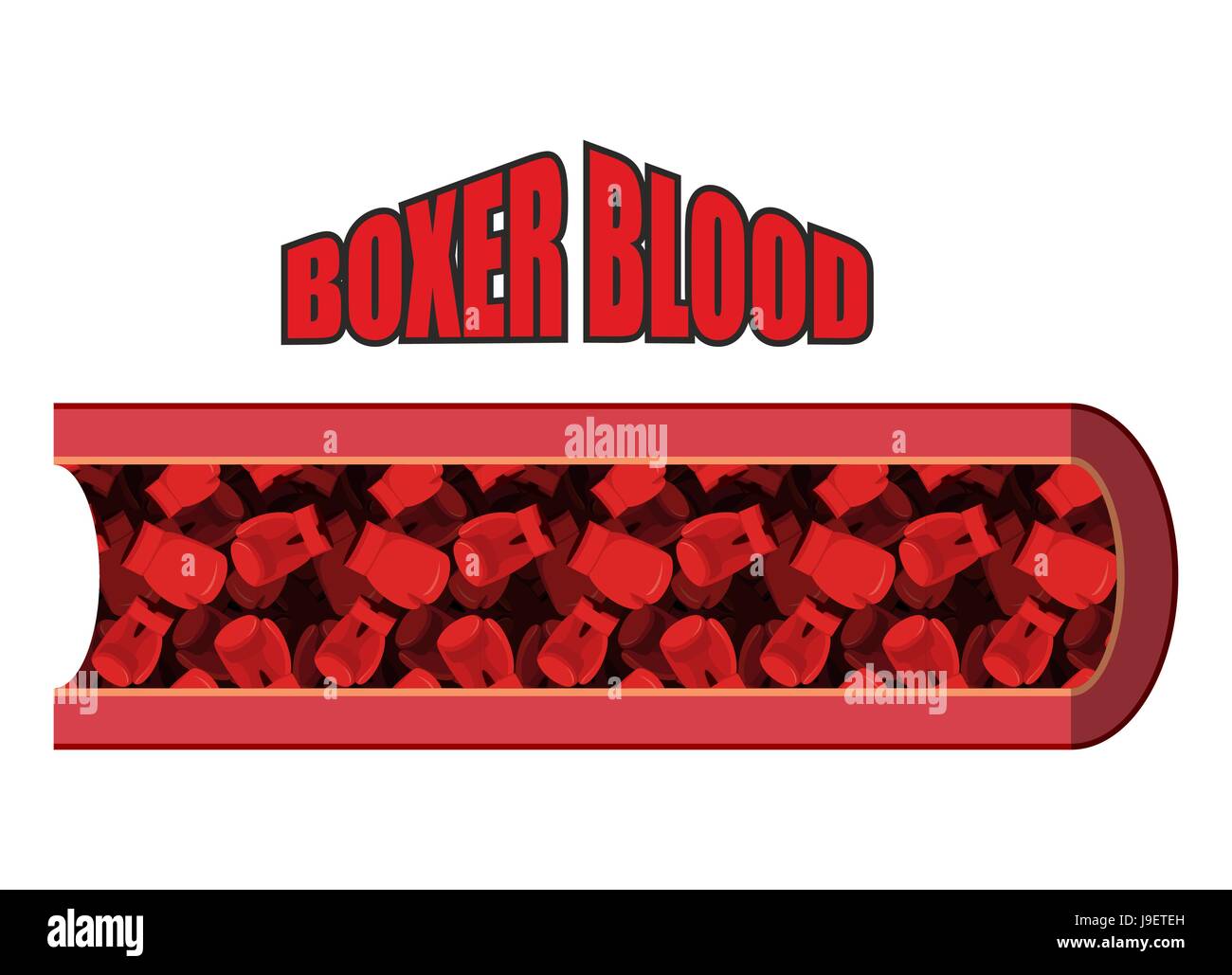 Blood Boxer. Blood cells in form of boxing gloves. Anatomy of blood ...