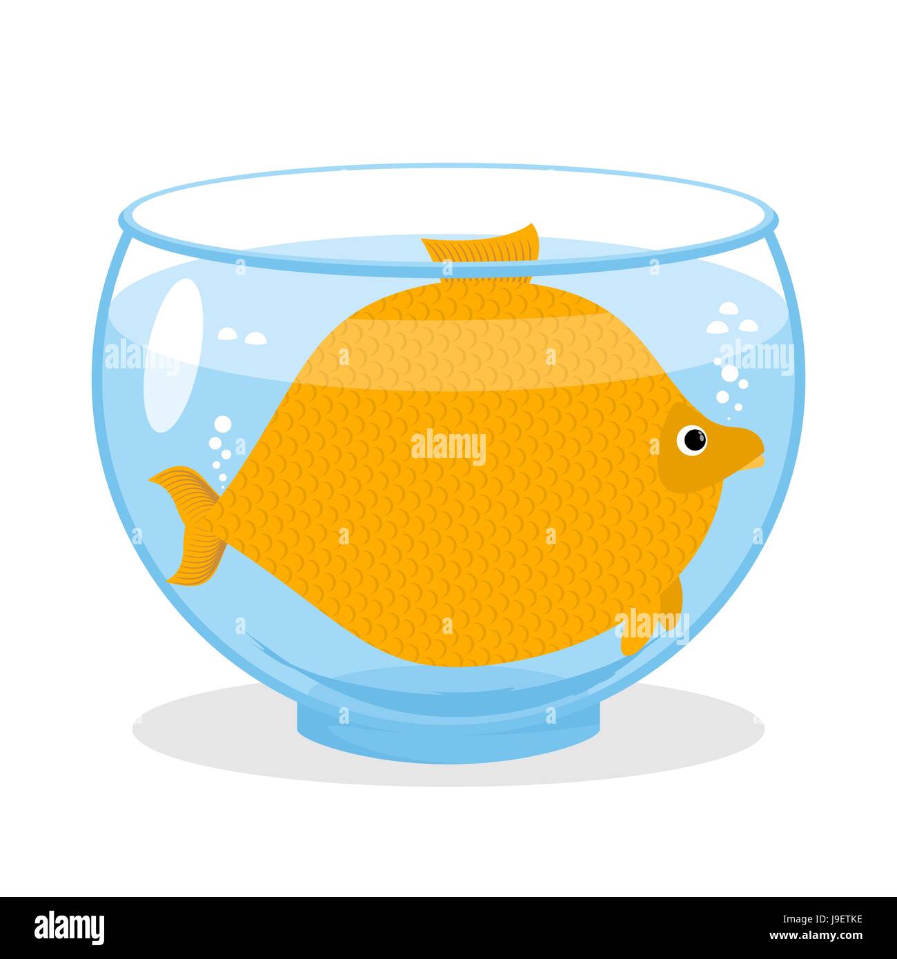 Image big fish in aquarium Cut Out Stock Images & Pictures - Alamy