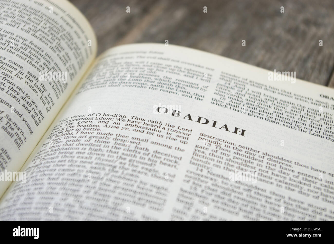 Book Of Obadiah