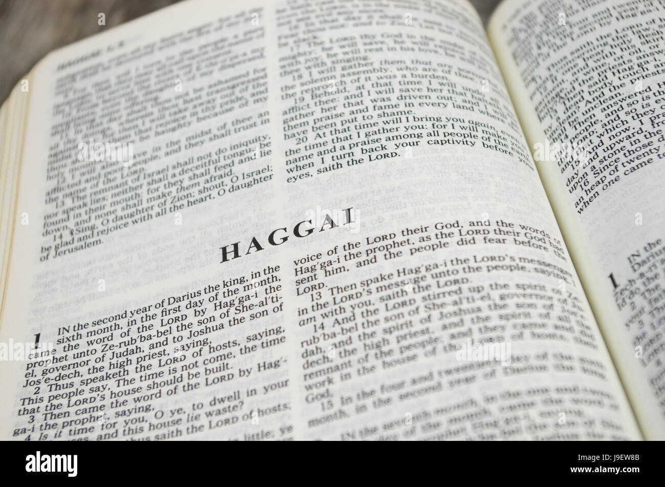 Haggai hi-res stock photography and images - Alamy