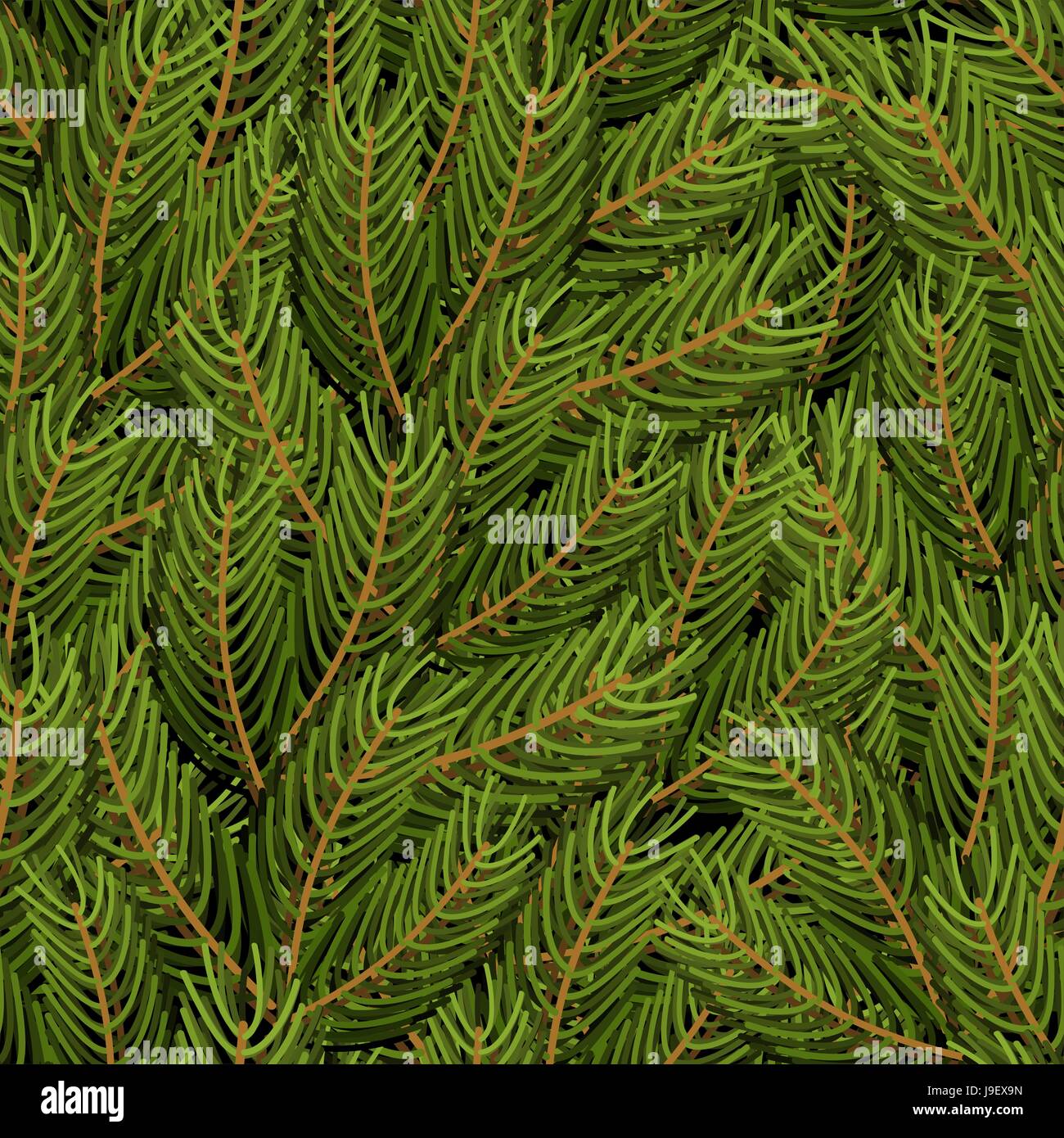 Spruce branch background. FIR branch seamless pattern. Christmas tree branch texture. Natural ...