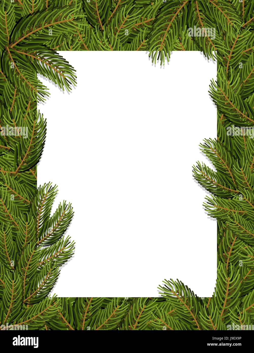 Frame spruce branch. Tree frame for text. White sheet in leaves of tree ...