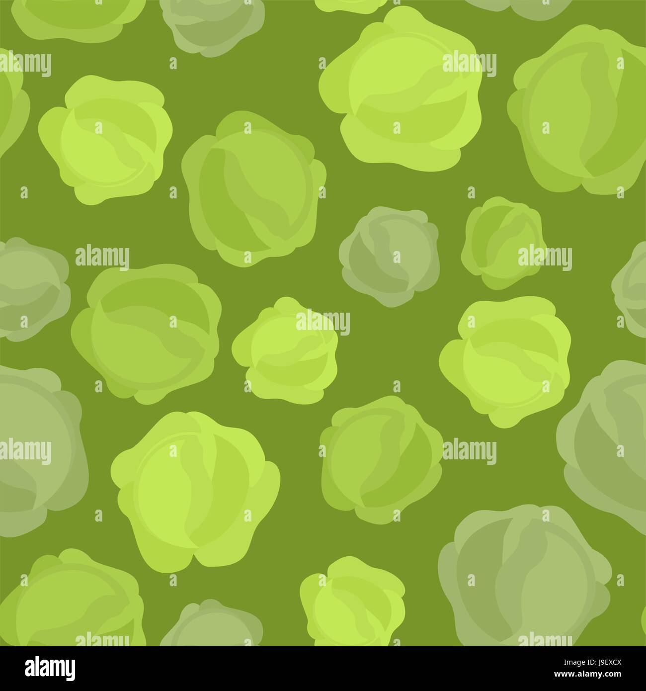 Cabbage seamless pattern. Vegetable vector background ripe cabbage ...