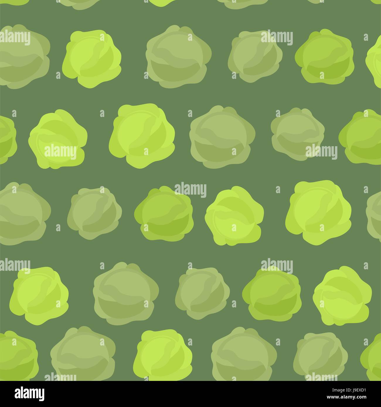 Background of green cabbage. Vector seamless pattern of vegetables ...