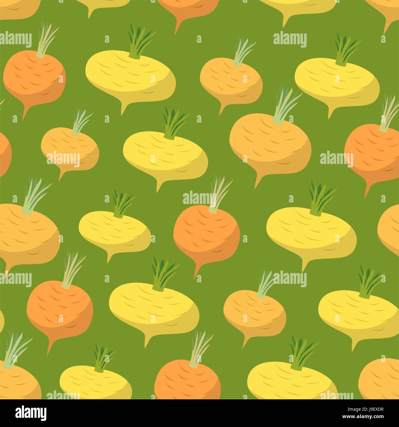 Yellow turnip pattern. Seamless background with turnips. Vector texture ...