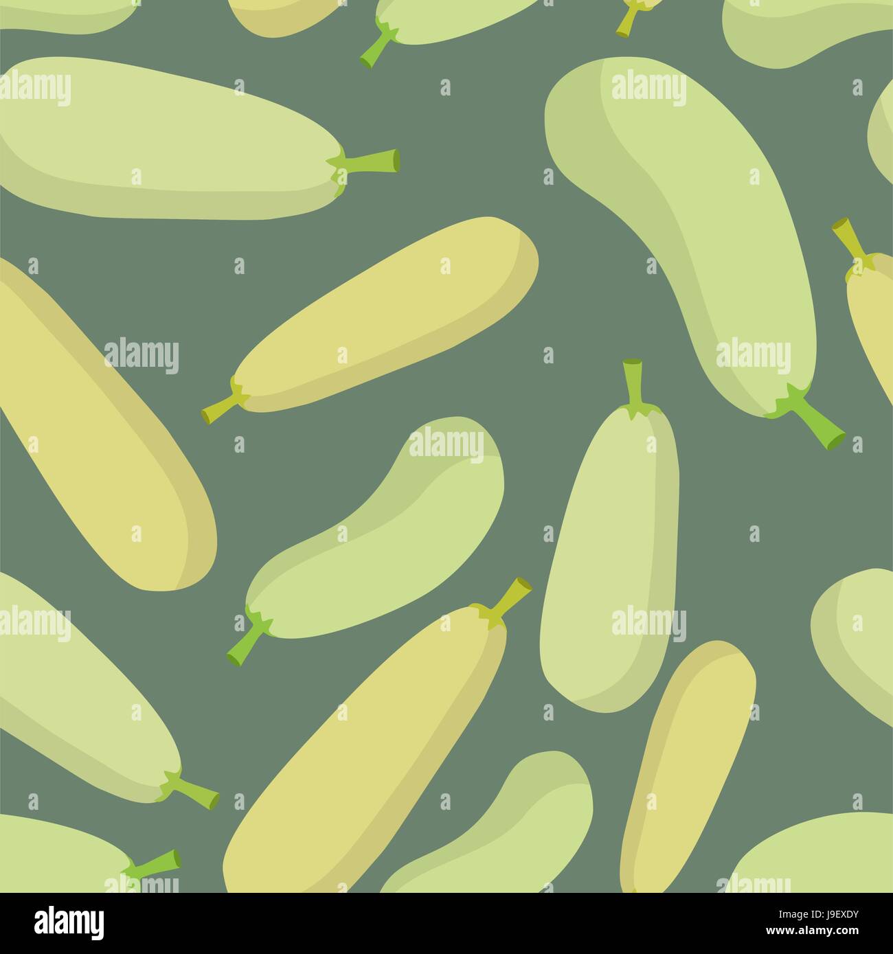 Zucchini seamless pattern. Vector background ripe vegetable Zucchini ...