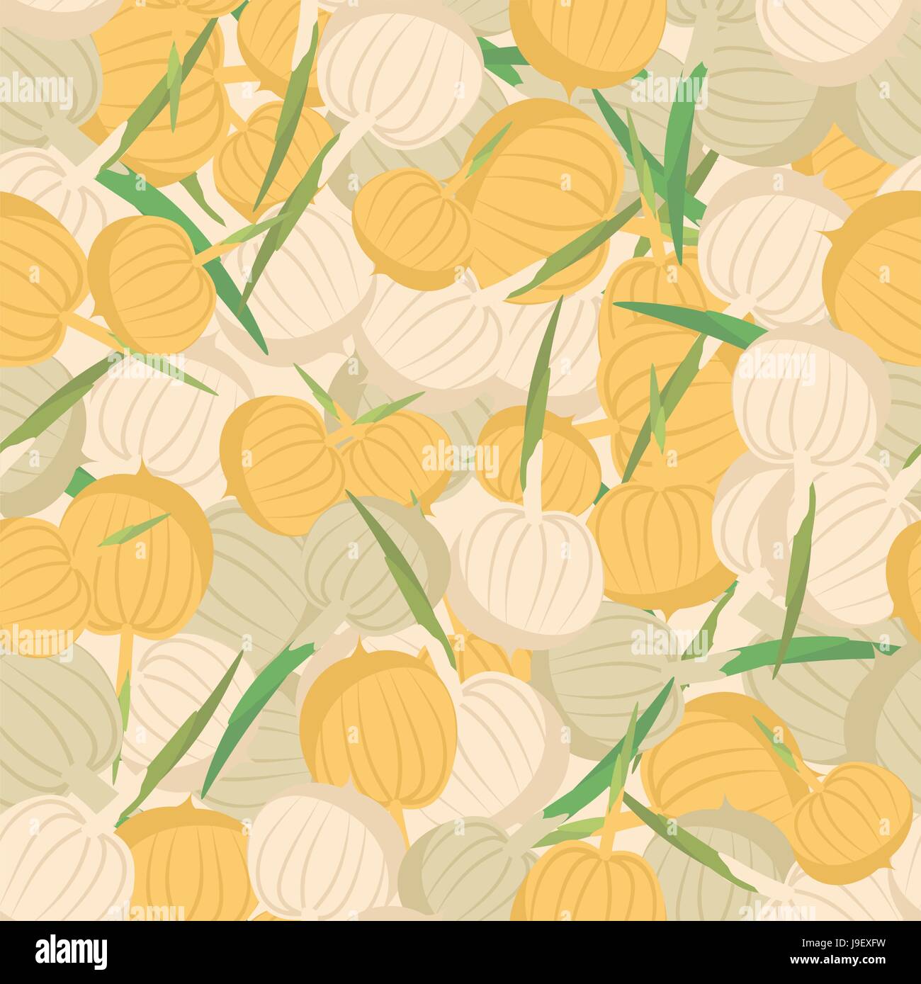 Onion pattern. Seamless background with bulbs. Vector texture Stock ...