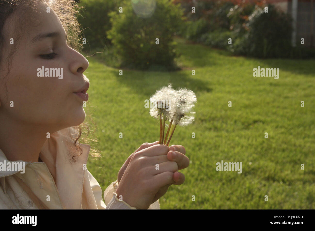Girl blowing into dandelion puffs Stock Photo - Alamy