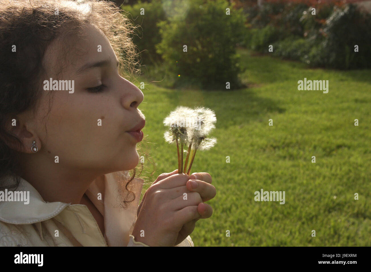 Girl blowing into dandelion puffs Stock Photo - Alamy