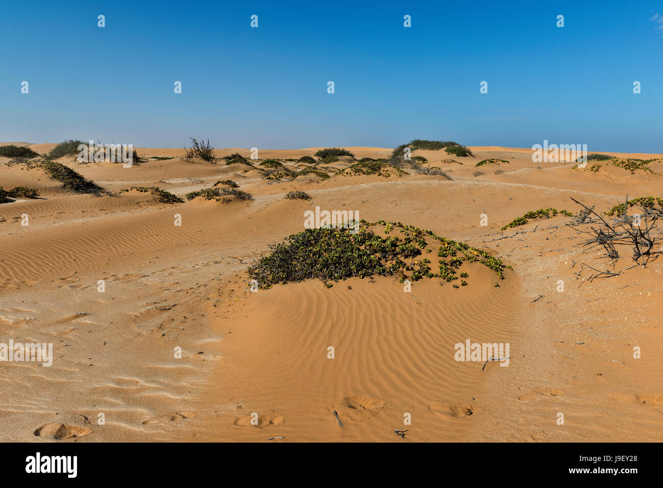 Swakopmund dunes hi-res stock photography and images - Alamy