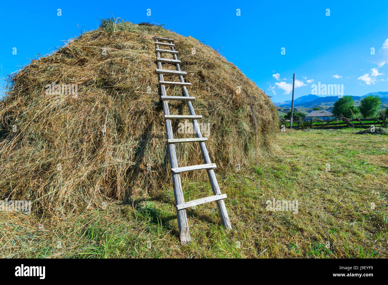 Hay ladder hi-res stock photography and images - Alamy