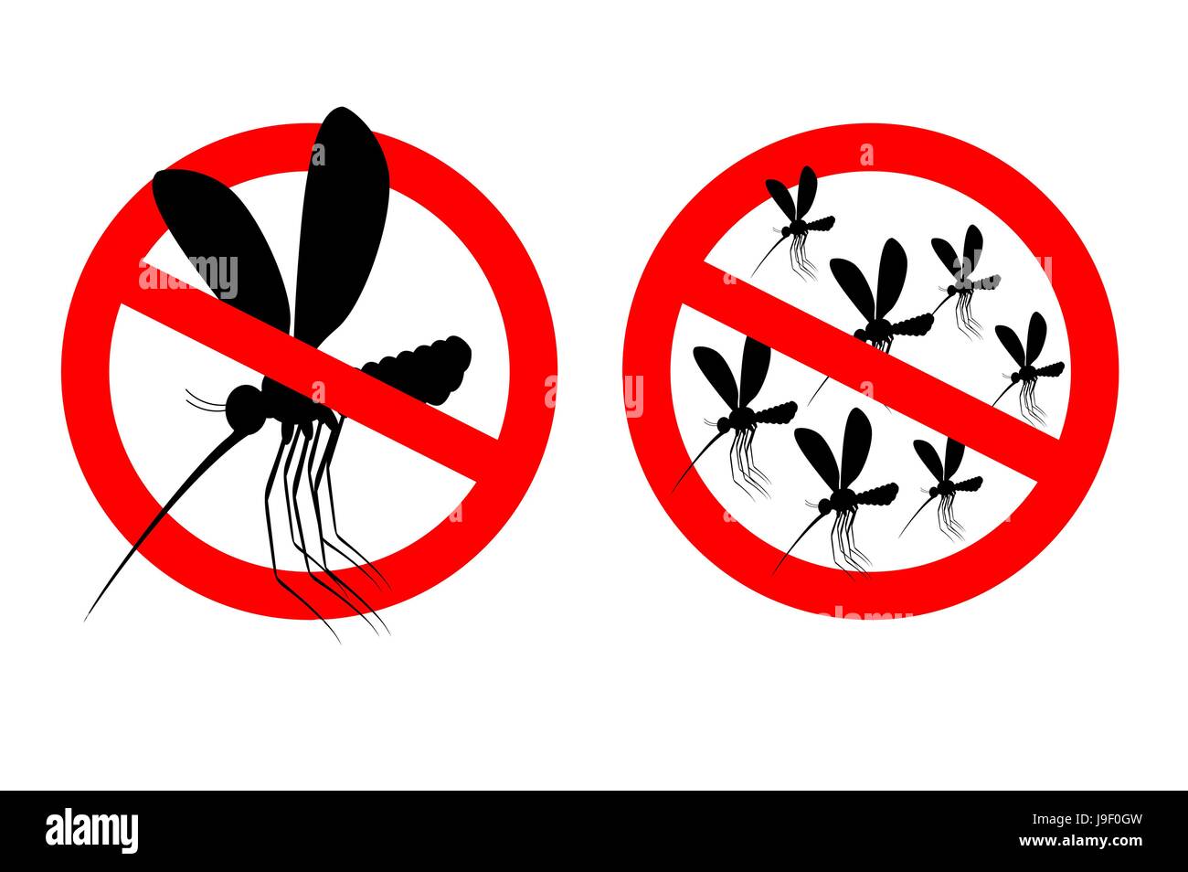 Stop Mosquito Forbidden Swarm Mosquitoes Frozen Mosquito Insect