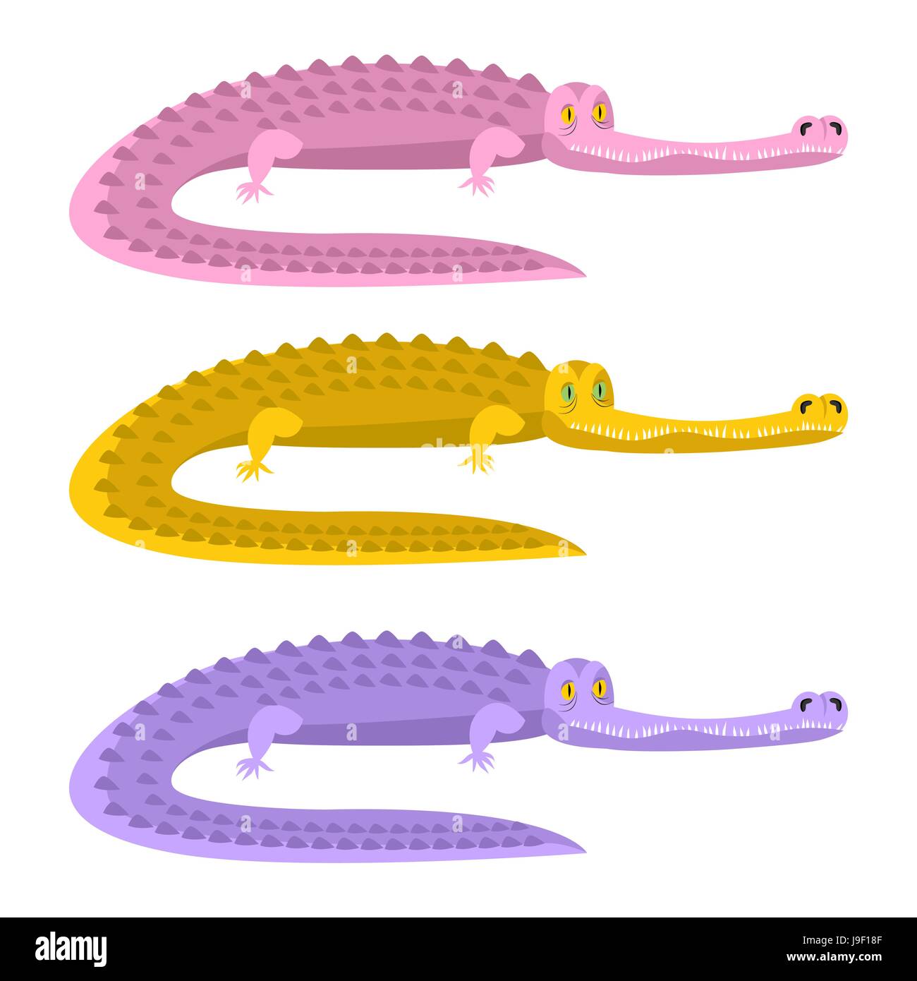Crocodile skin detail Stock Vector Images - Alamy