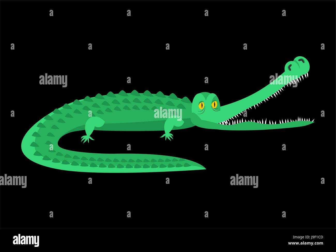 Crocodile isolated. Good caiman. Wild animal. Green reptile with big ...