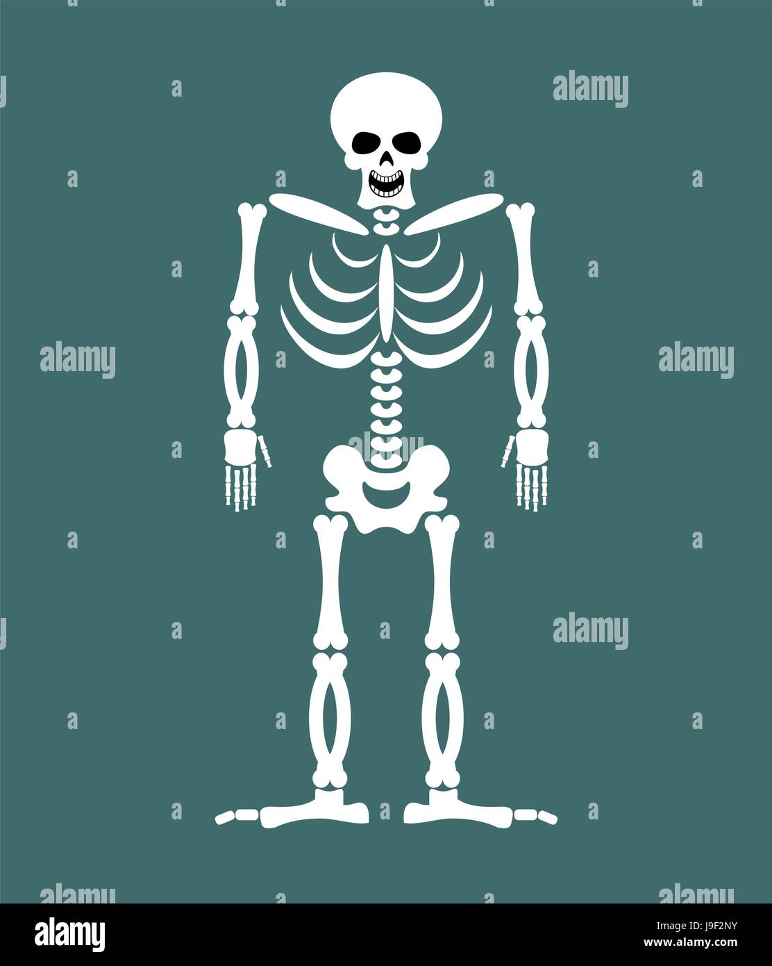 Antique bones Stock Vector Images - Alamy