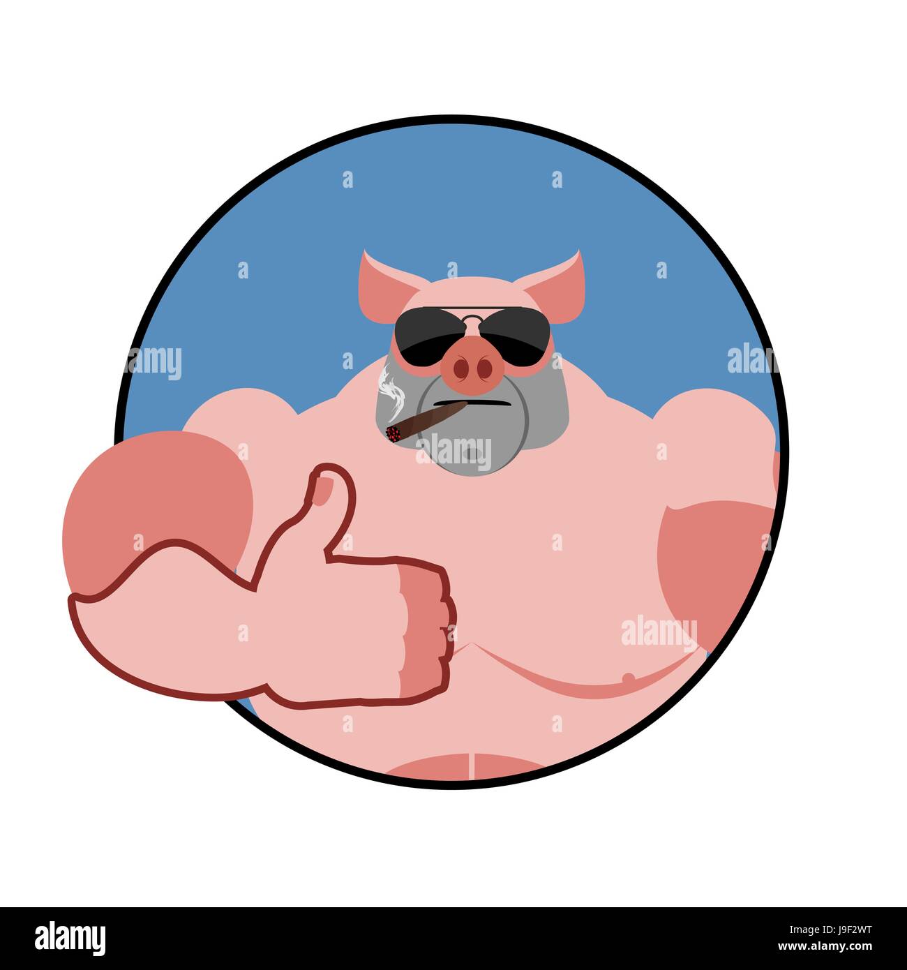 Boar thumbs up well and winks. Pig Signs all right. Cheerful boar. Hand ...