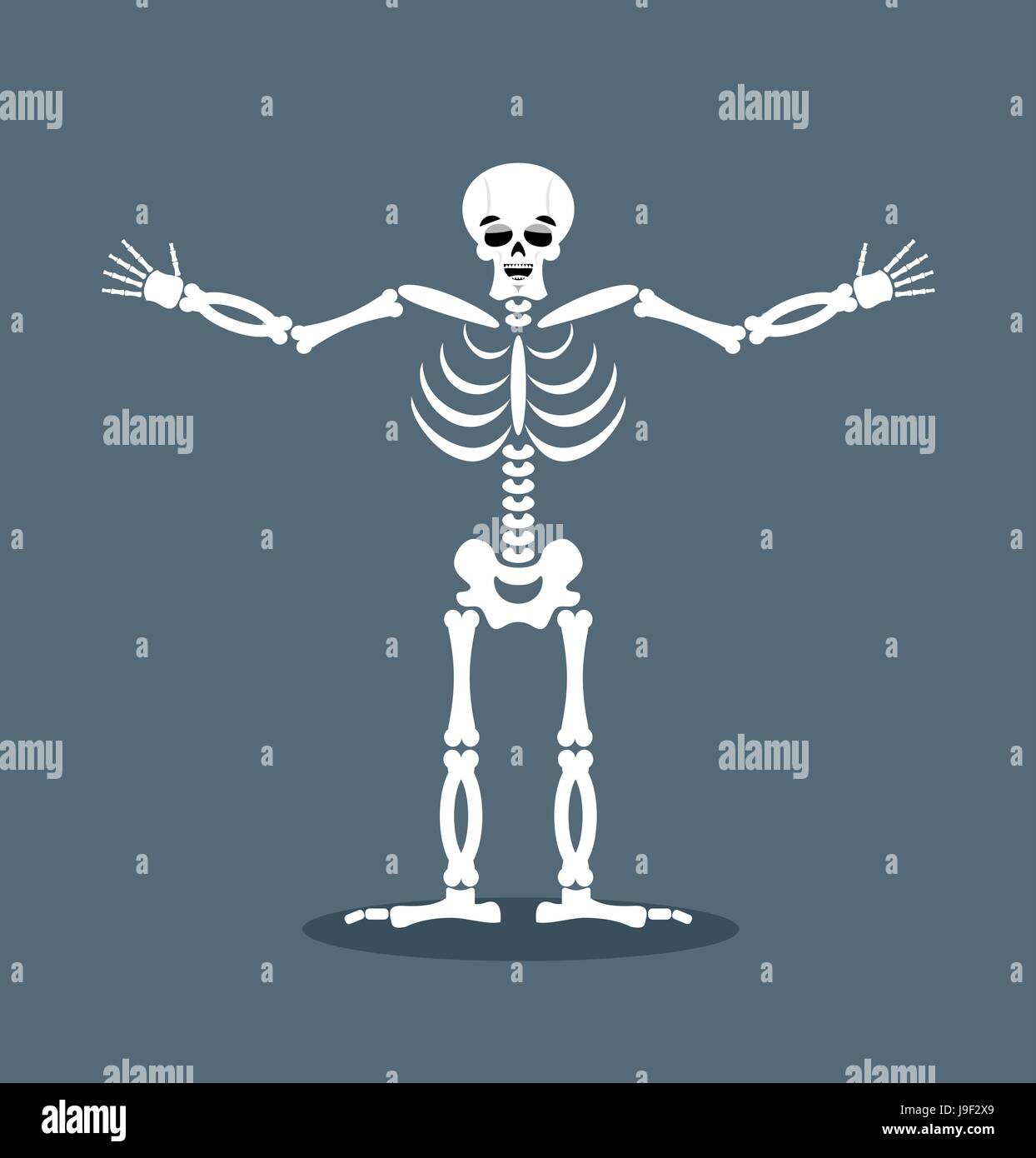 Bone active in body Stock Vector Images - Alamy