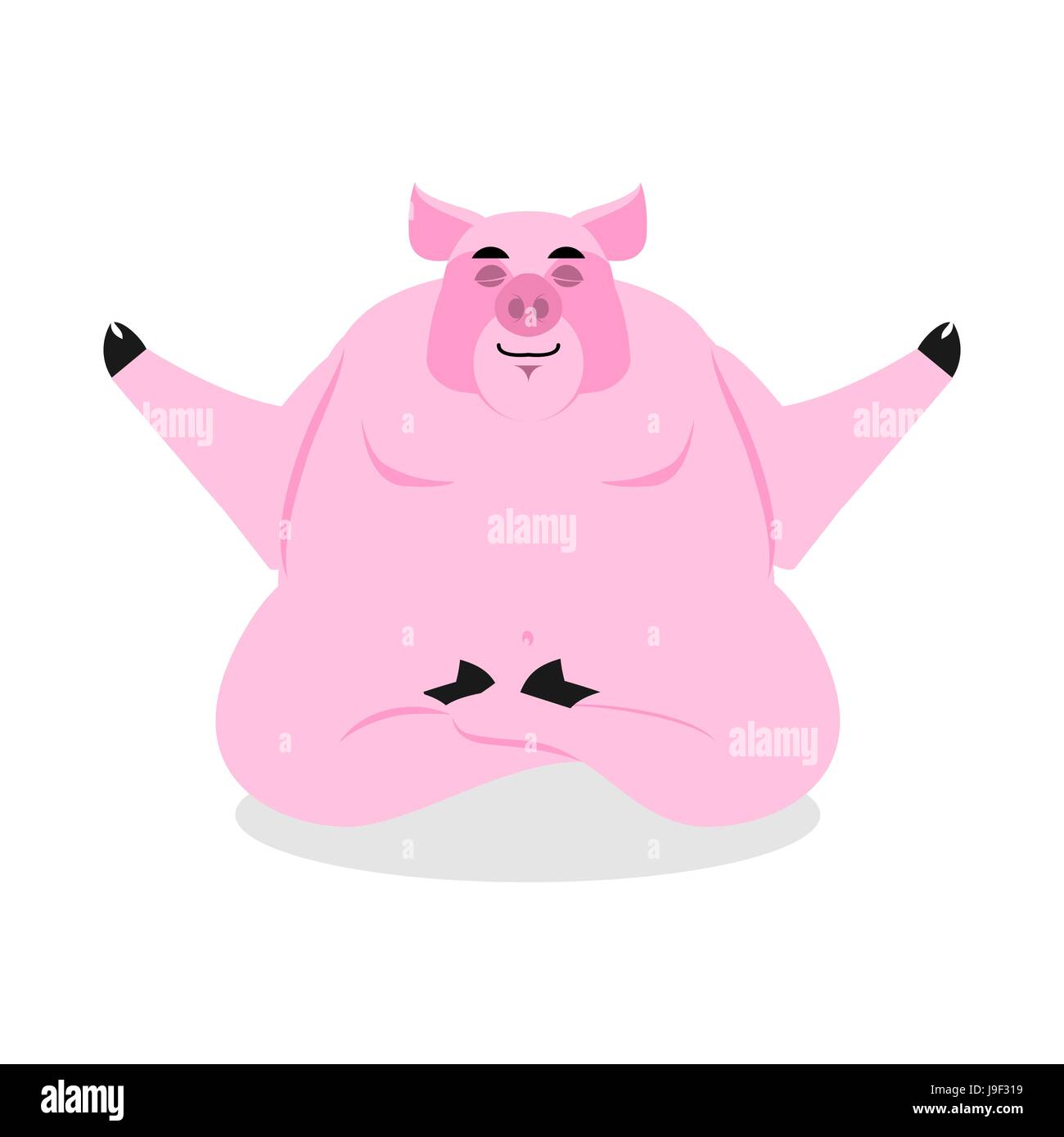 Pig meditating in lotus Pose. Animal yoga. Farm animal on white ...