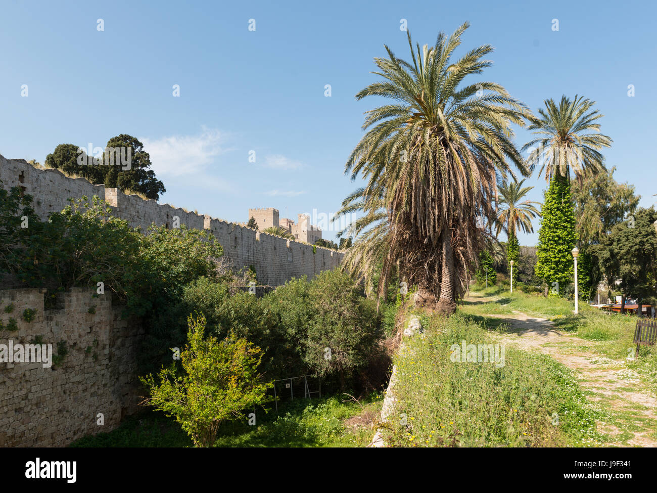 Tropical trees and foliage in Greece Stock Photo - Alamy