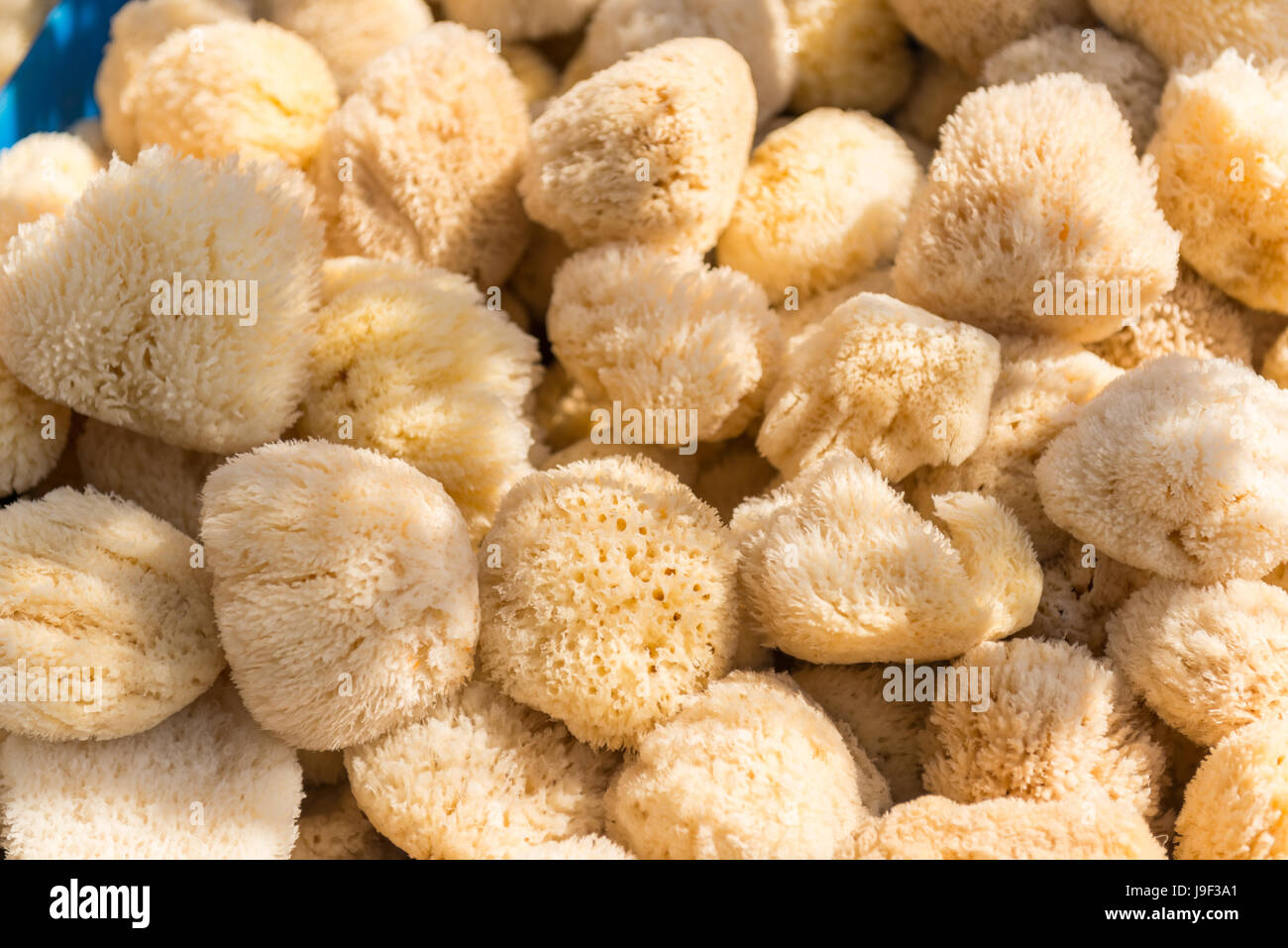Sea sponges at market in Greece Stock Photo - Alamy