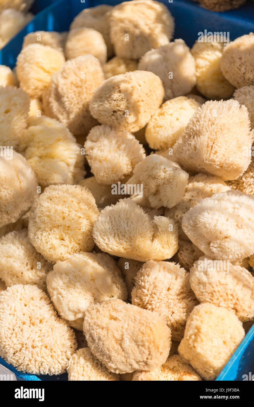 Sea sponges at market in Greece Stock Photo - Alamy