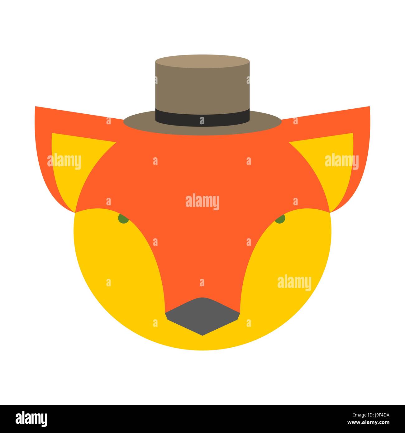 Fox face cute she hi-res stock photography and images - Alamy