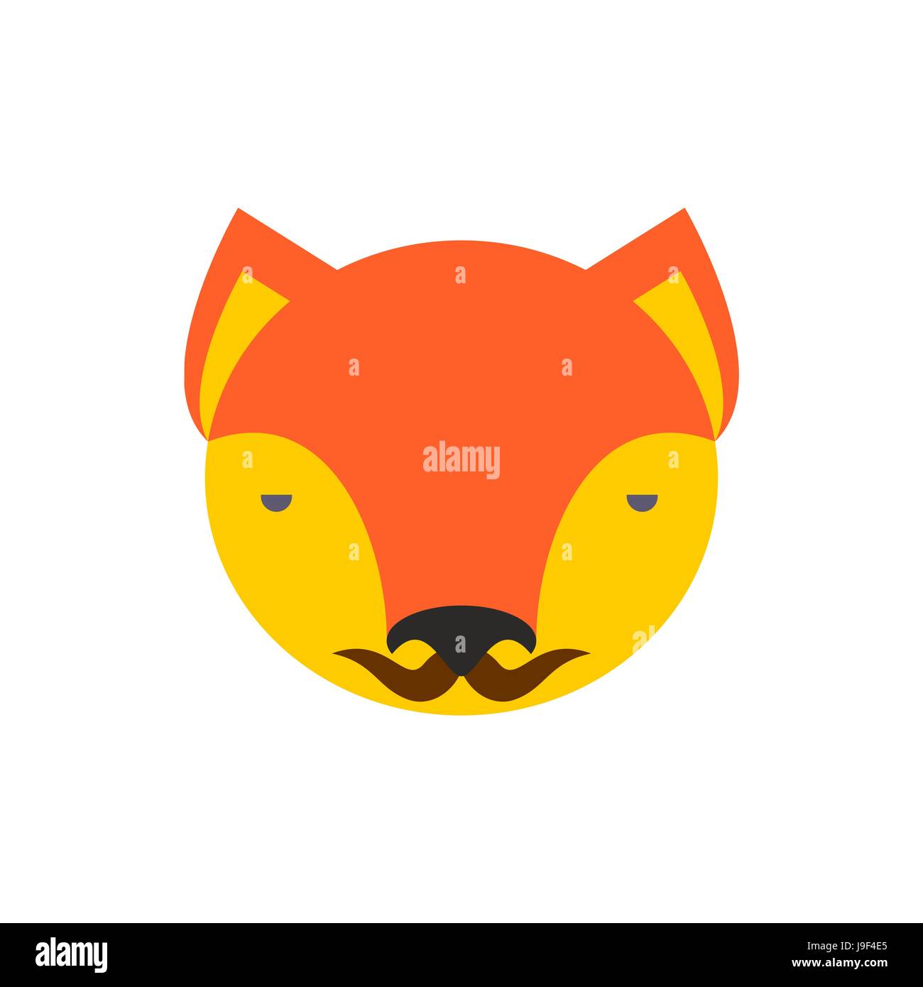Red fox nose Cut Out Stock Images & Pictures - Alamy