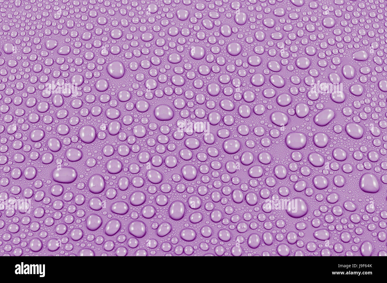 Purple water drops background Stock Photo - Alamy