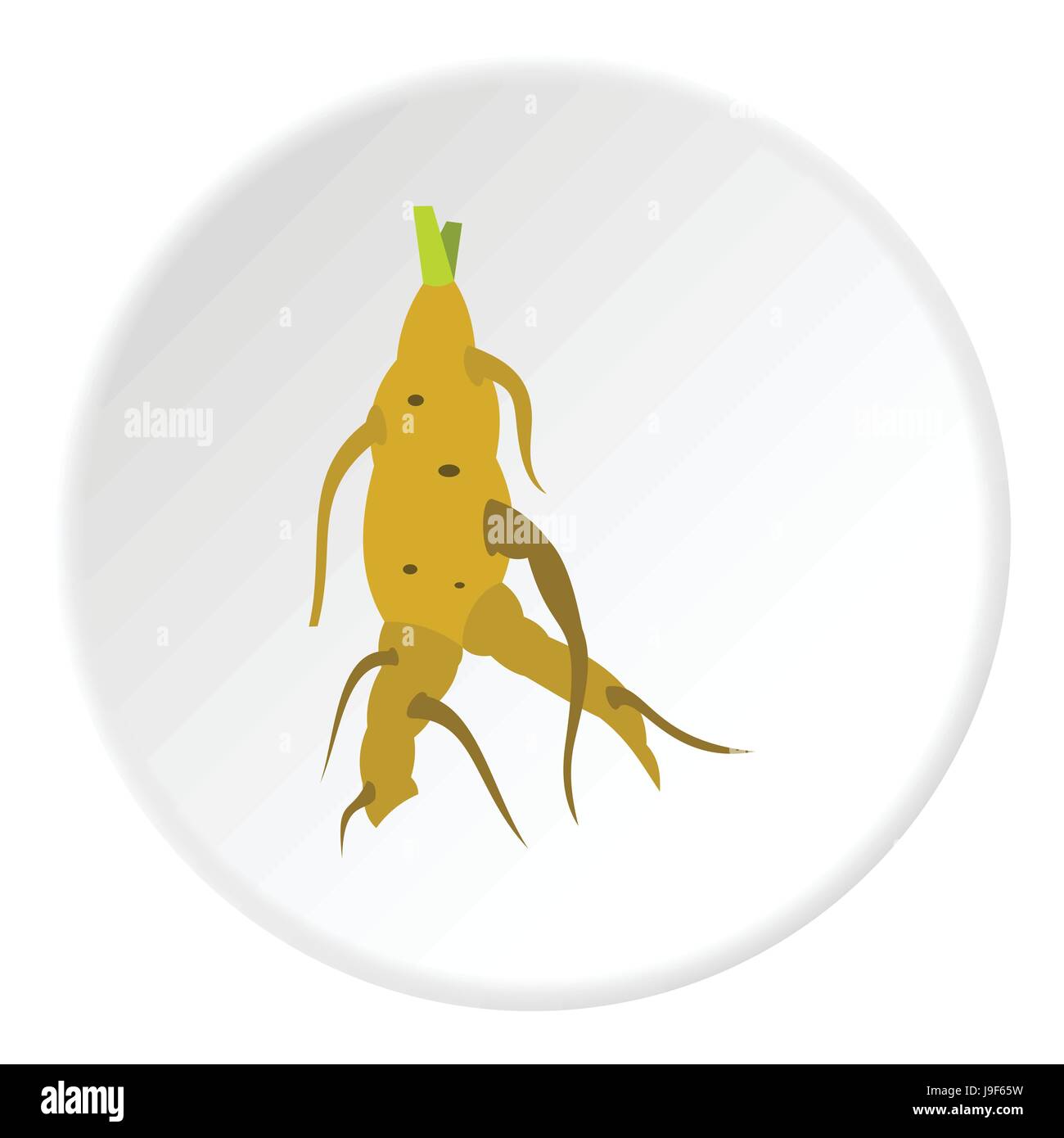 Ginseng supplement Stock Vector Images - Alamy