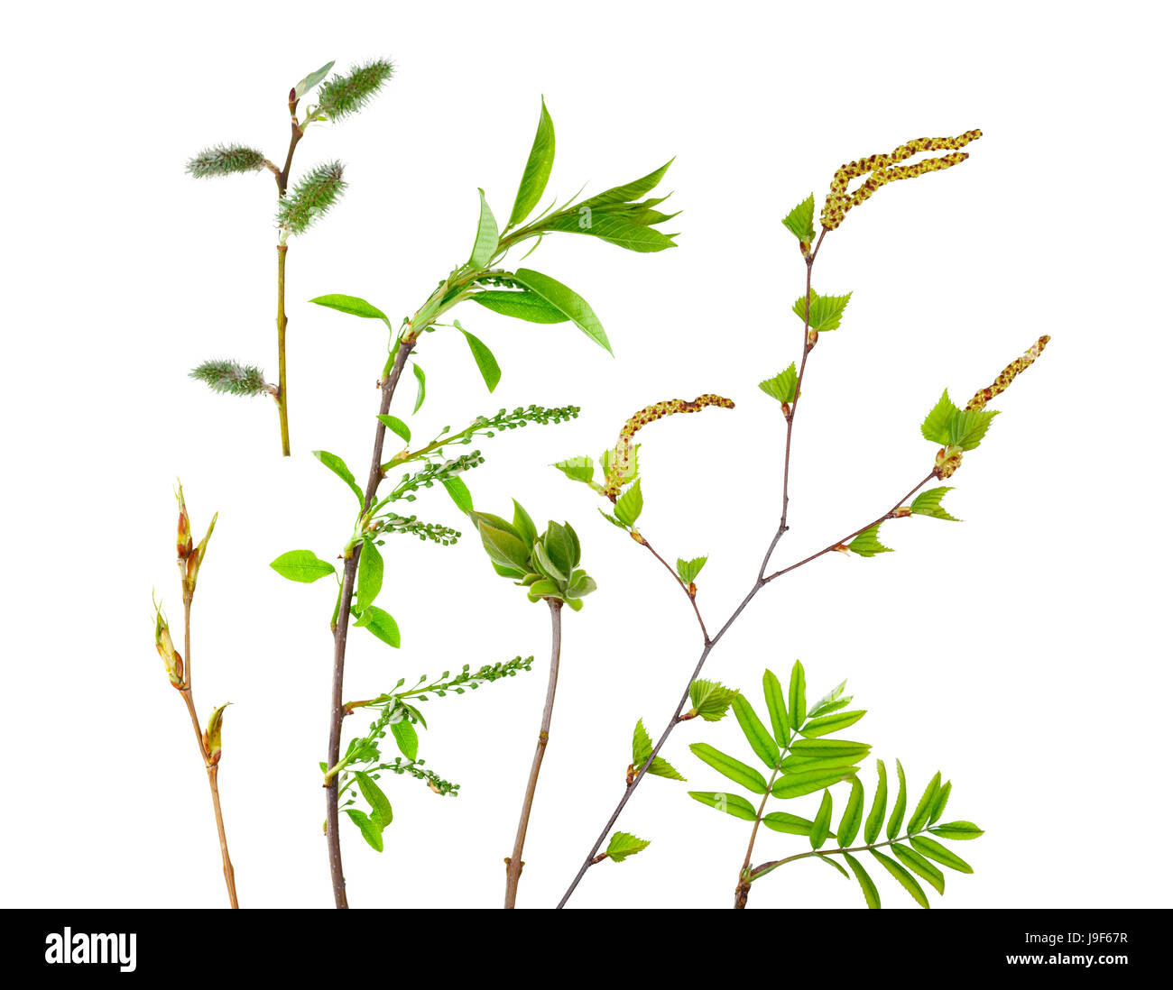 Spring still life hi-res stock photography and images - Alamy