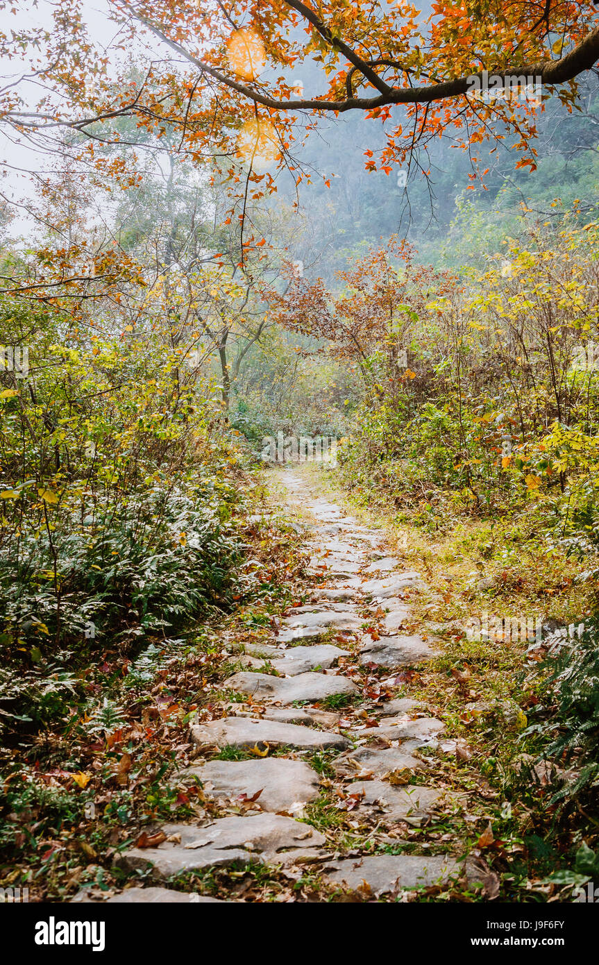 The ancient stone path in the mountain Stock Photo - Alamy