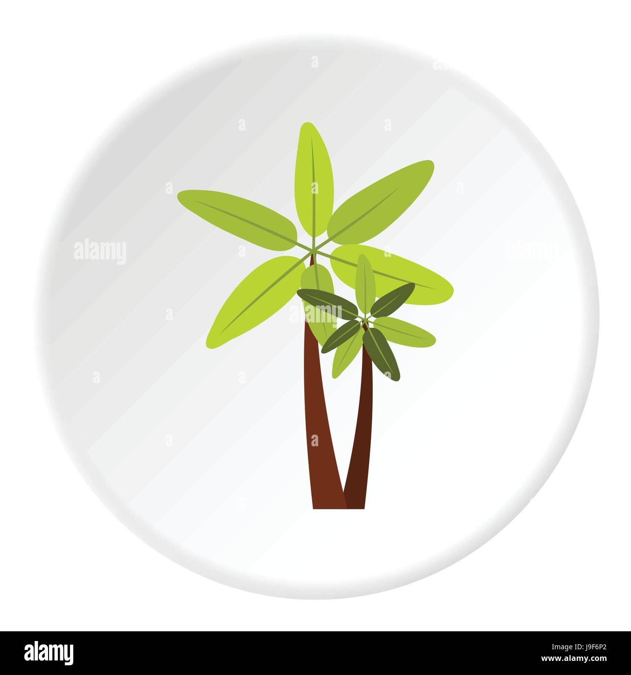 Two palm trees icon, flat style Stock Vector Image & Art - Alamy
