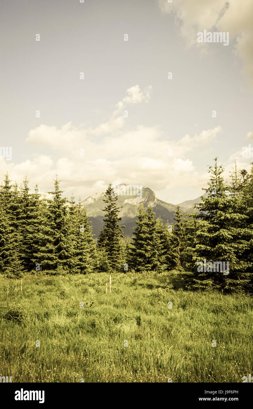 Vintage mountains landscape Stock Photo - Alamy