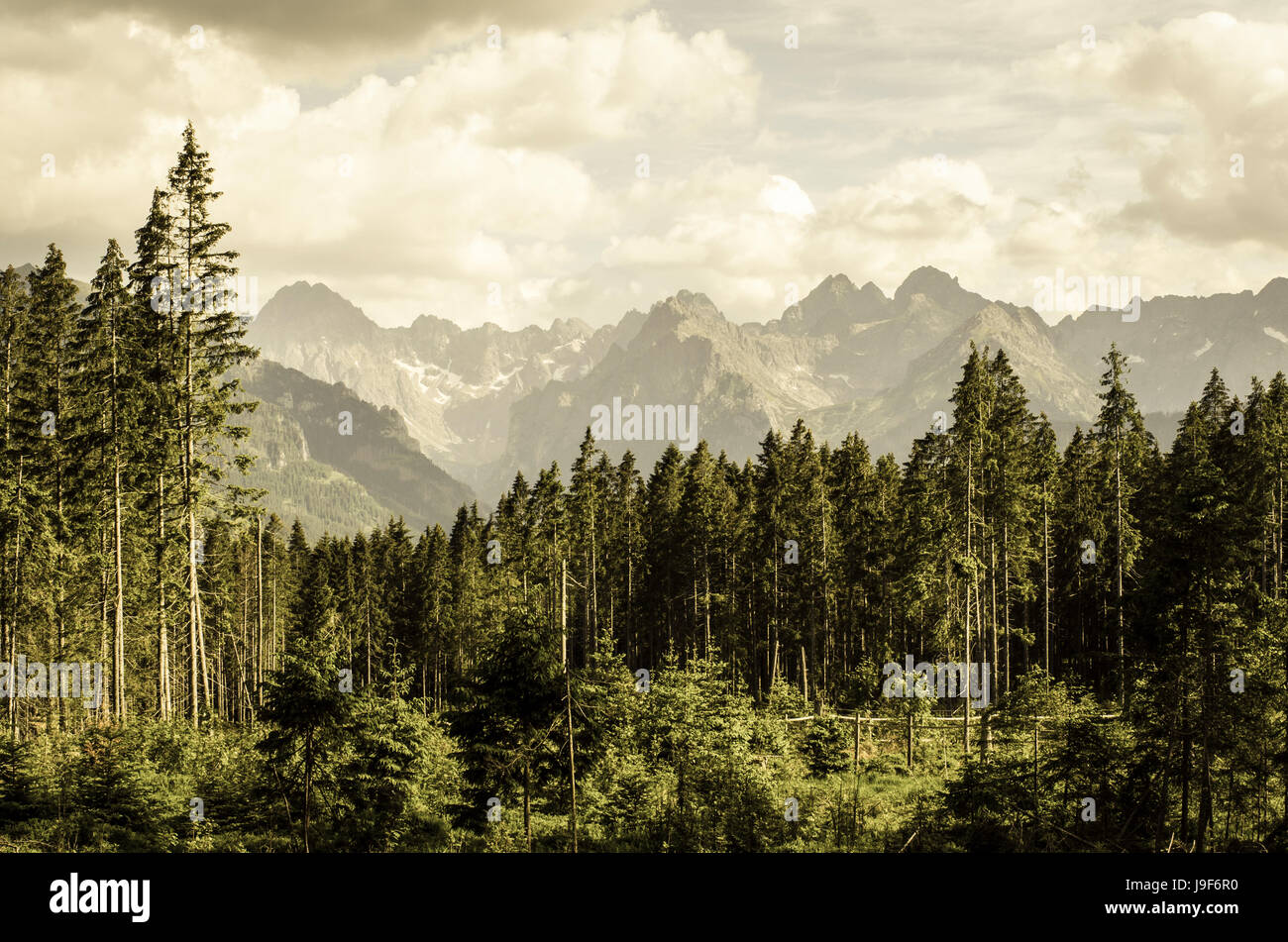 Vintage mountains landscape Stock Photo - Alamy