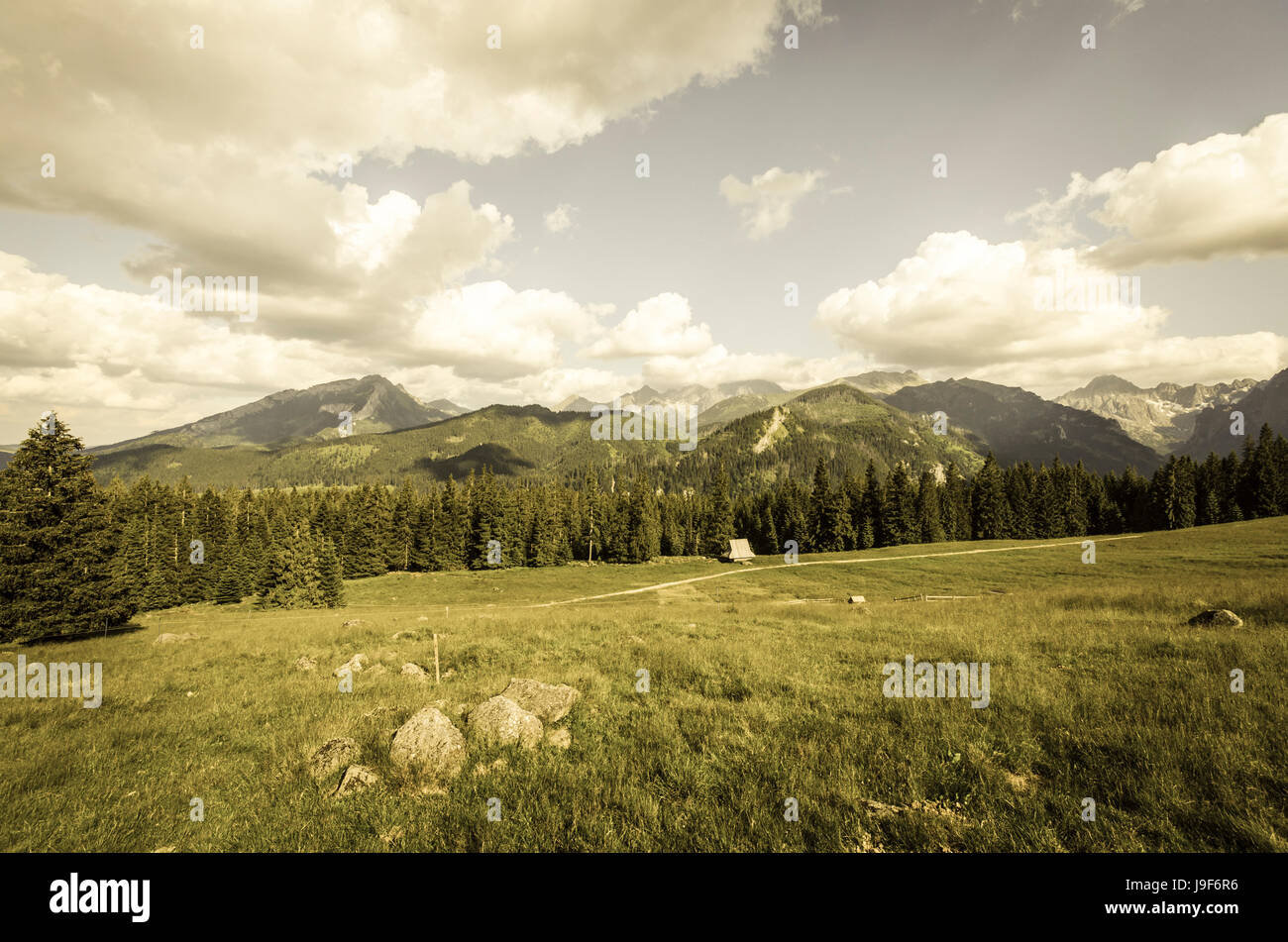 Vintage mountains landscape Stock Photo - Alamy